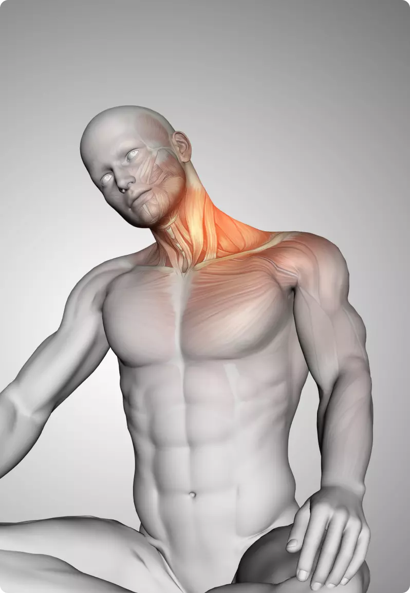 TopSave - MuscleAider